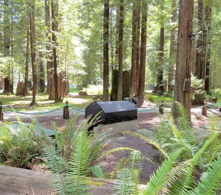 Group Camp | Gualala River Redwood Park