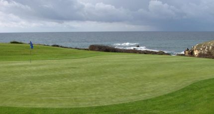 Day trips | Gualala River Redwood Park